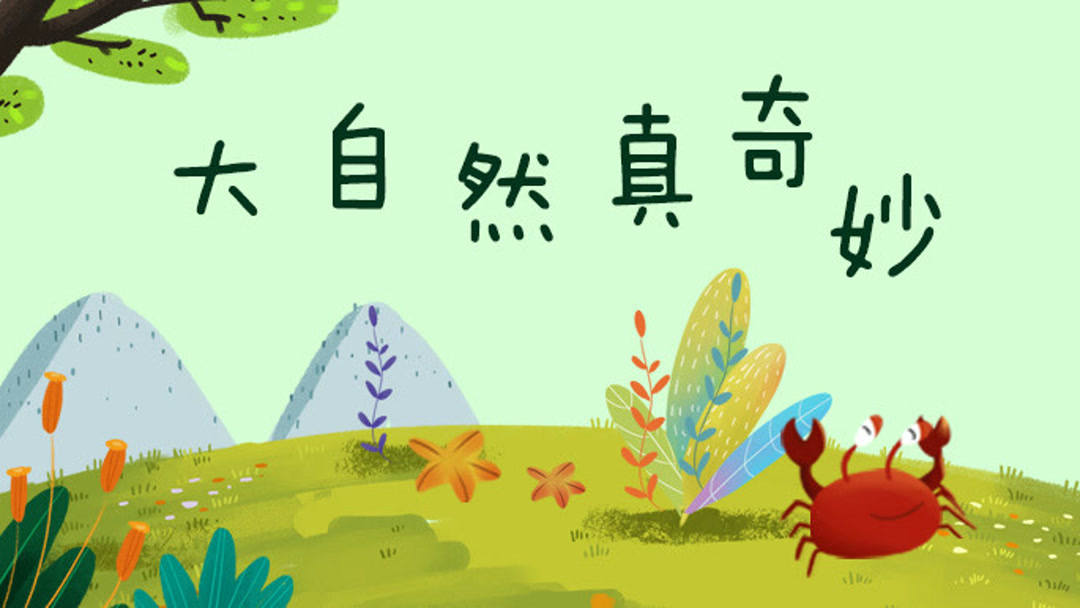 大自然真奇妙 范文