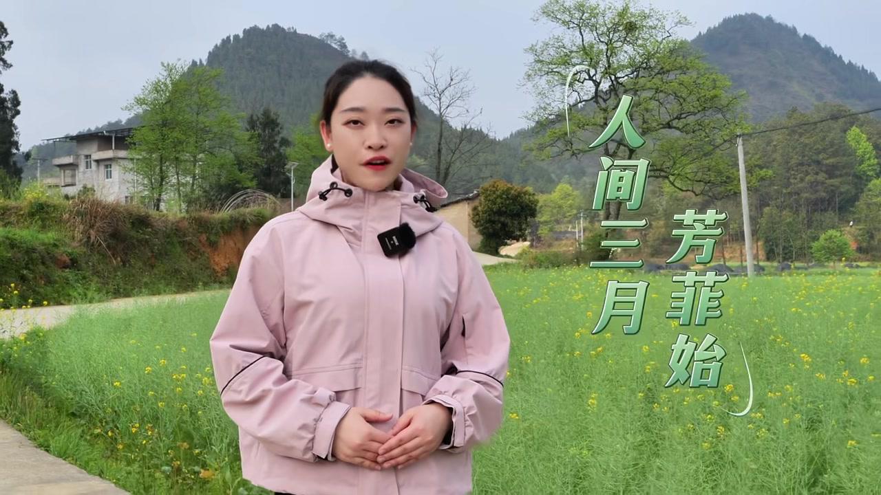 文明祭扫,你我同行!#清明节#传统节日#贵州玉屏