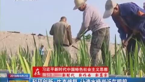 科研创新+生态修复 让清水绿岸近在眼前
