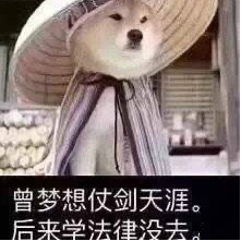海事小水手 