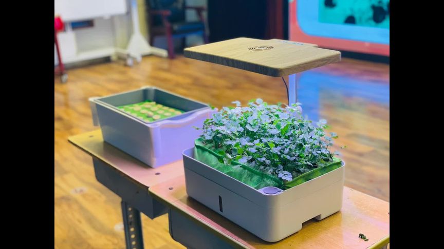 济南研学应用,种植芯努力的意义#有机农业 #家庭农场 #研学旅行