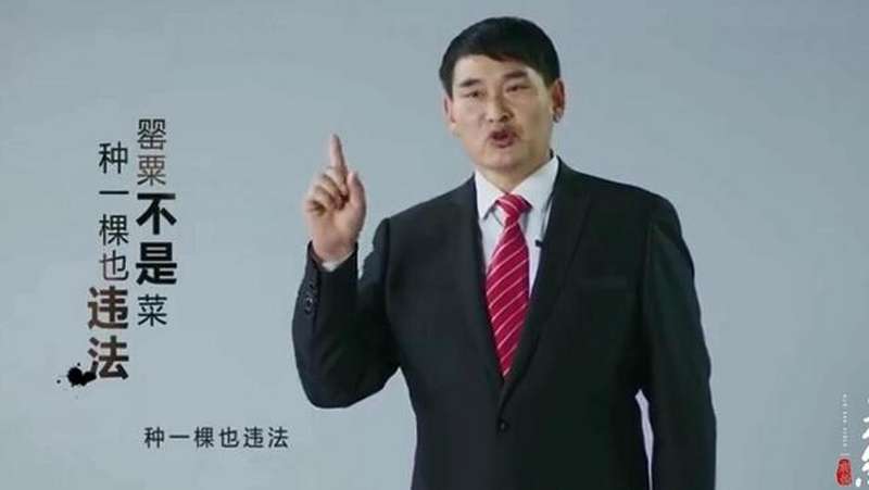 果然视频|禁毒宣传大使告诉你:罂粟不是菜,种一棵也违法