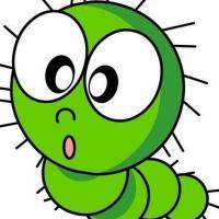 毛毛追剧娃 