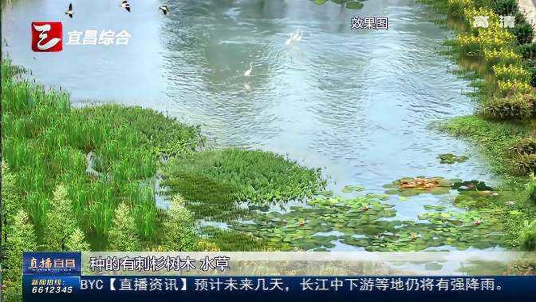 清淤生态修复 只为守护一库碧水