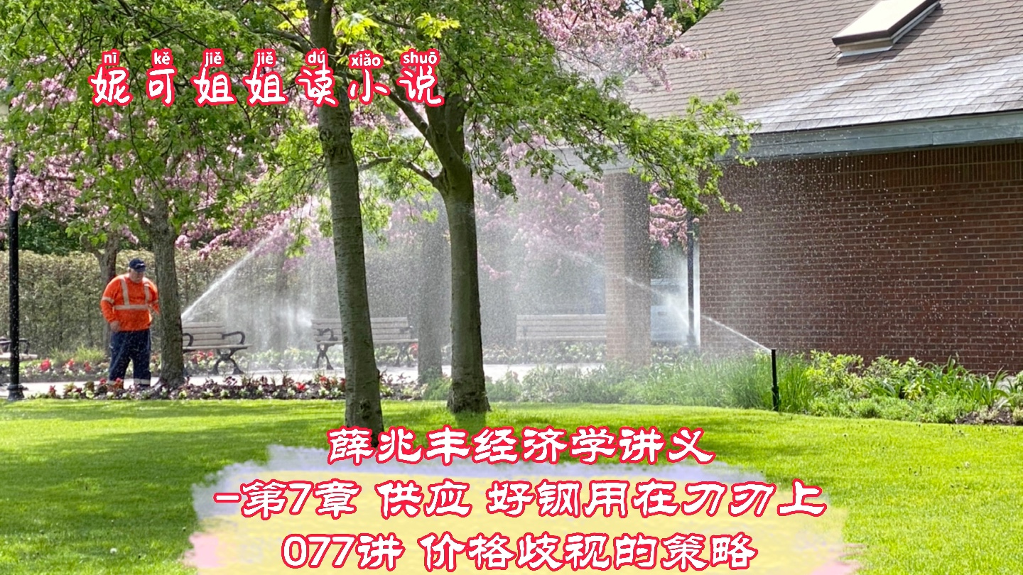 妮可姐姐读小说-薛兆丰经济学讲义-第7章077讲-价格歧视的策略