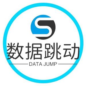 数据一跳动 