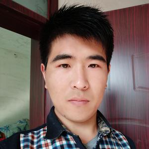 龙百晓生 