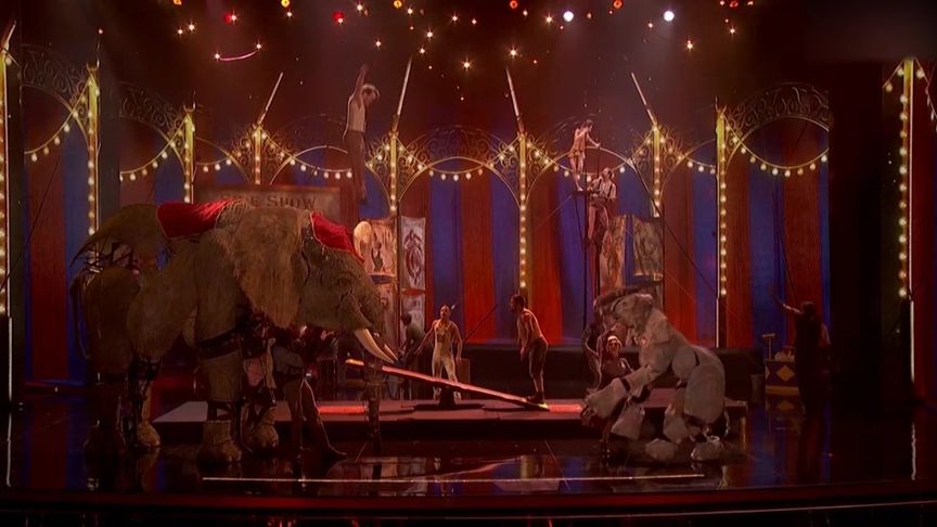 美国达人秀:杂技团表演节目,“大象”登场,节目瞬间火爆起来