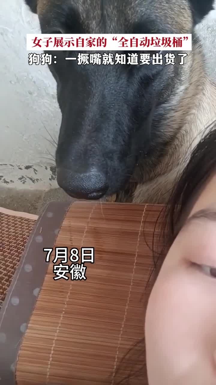 7月8日,安徽一女子展示自家的“全自动”!狗狗:一撅嘴我就知道要出货...