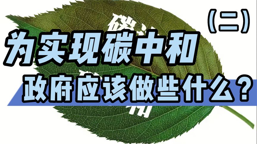 为实现碳中和 政府应该做些什么?(二)