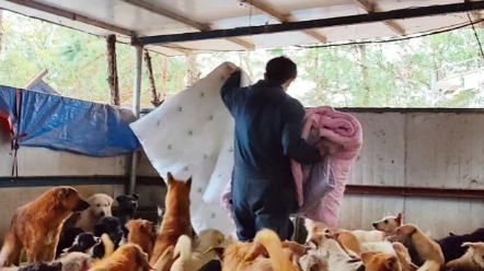 这两天真的很冷,好消息是过两天会有所升温!