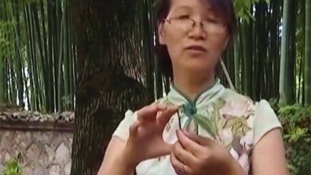 林业考察遇到神奇树木,鉴定发现竟是龙脑樟!繁育这种树可不容易