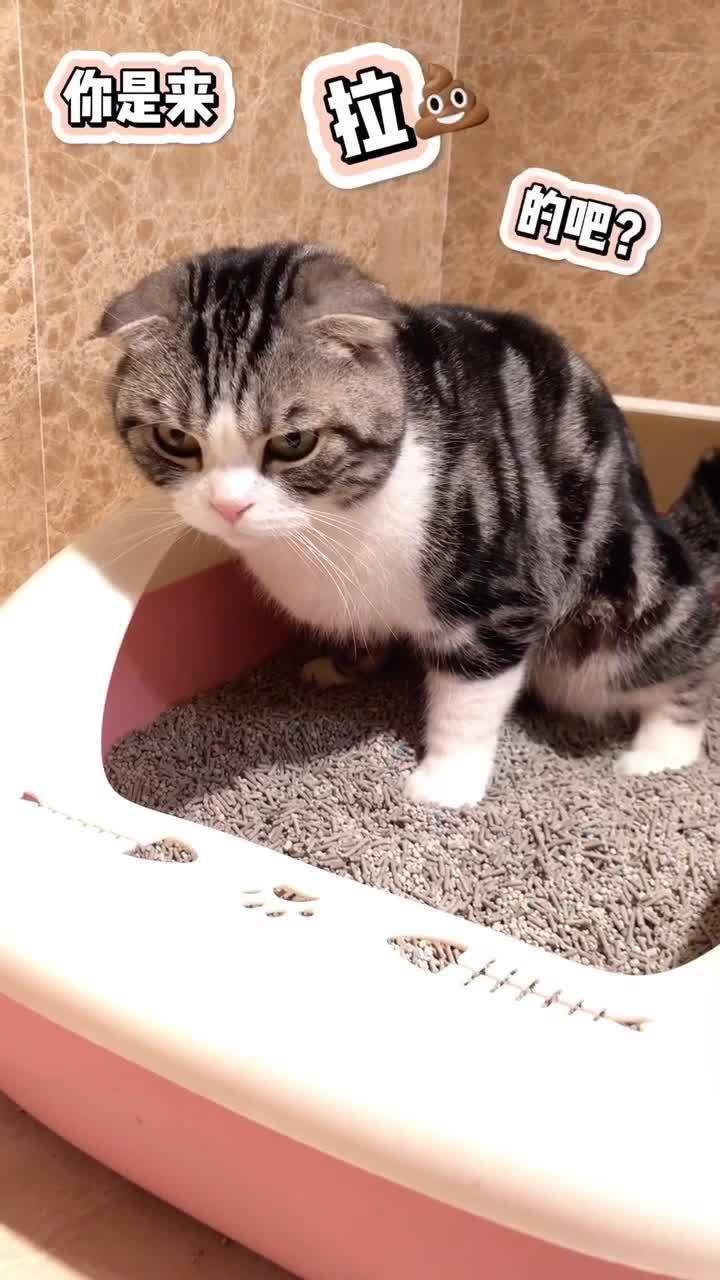 撒撒:你有必要让大家都知道吗?今天7点首次直播不见不散