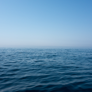 细心草莓讲故事 