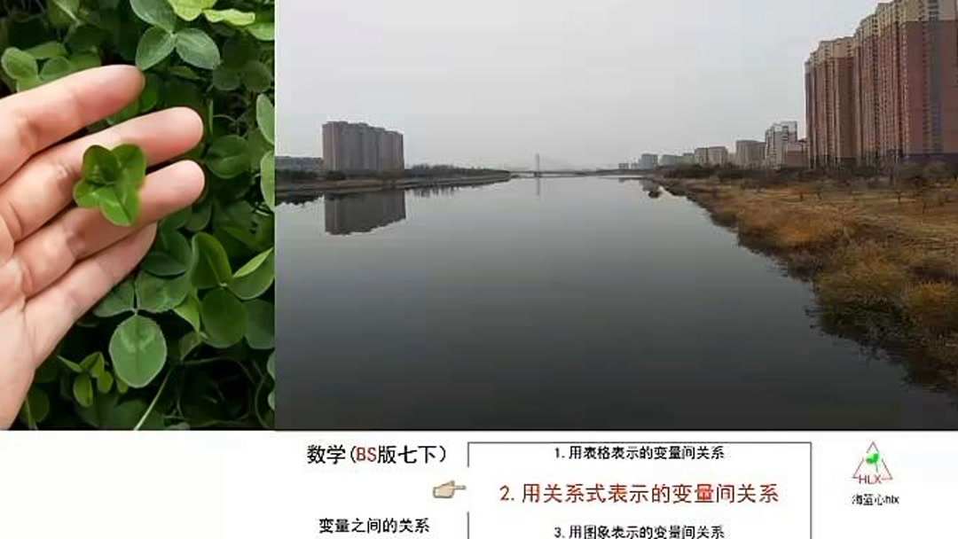 变量之间的关系之用关系式表示的变量间关系