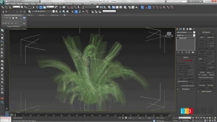 16+3DMAX植物模型导出(原画).f4v
