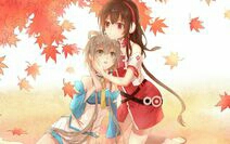 叁玖可颂 