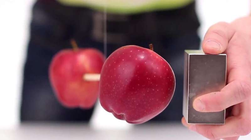 磁铁能有多磁?连苹果和老鼠体内的铁元素都能作用,比万磁王还磁