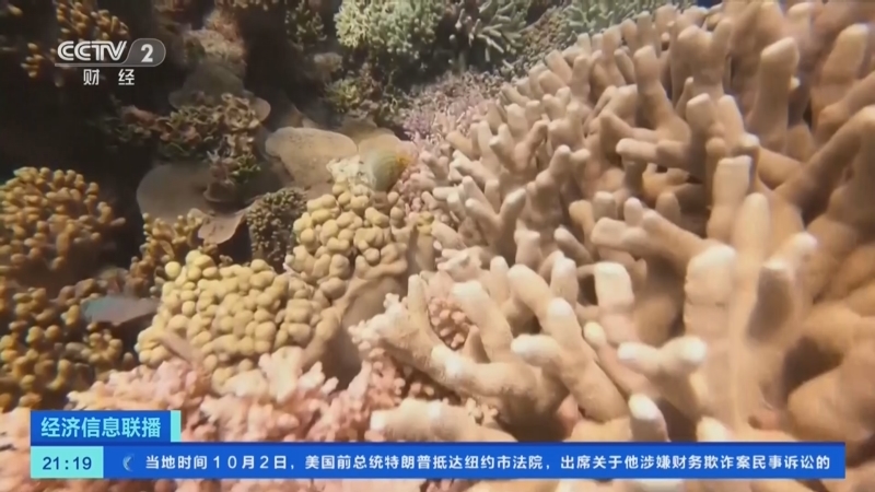 [经济信息联播]一国际组织拟筹集120亿美元资金保护全球珊瑚礁