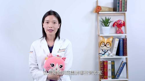 狗狗的成长需要补充的这些营养,铲屎官们不容忽视~