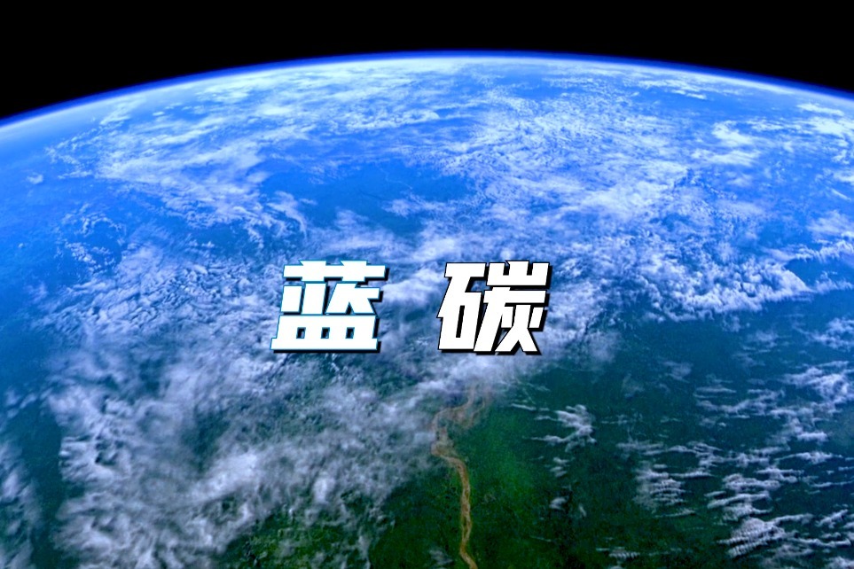 全国科普日微视频丨秒懂蓝碳,你get了吗?