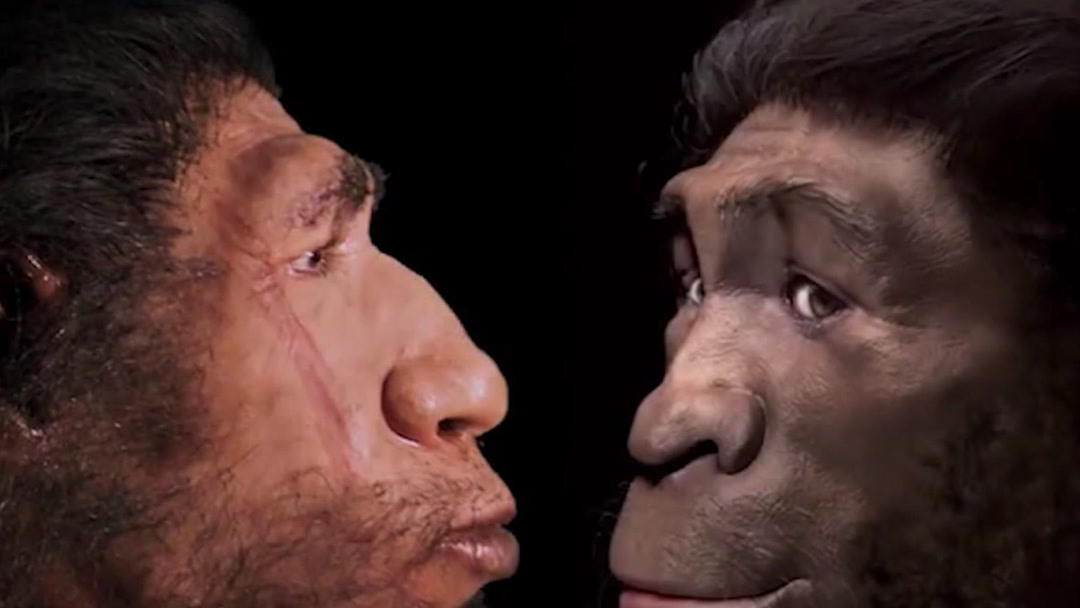 我们为什么会得传染病,看看700万年前人类祖先干了什么就知道了