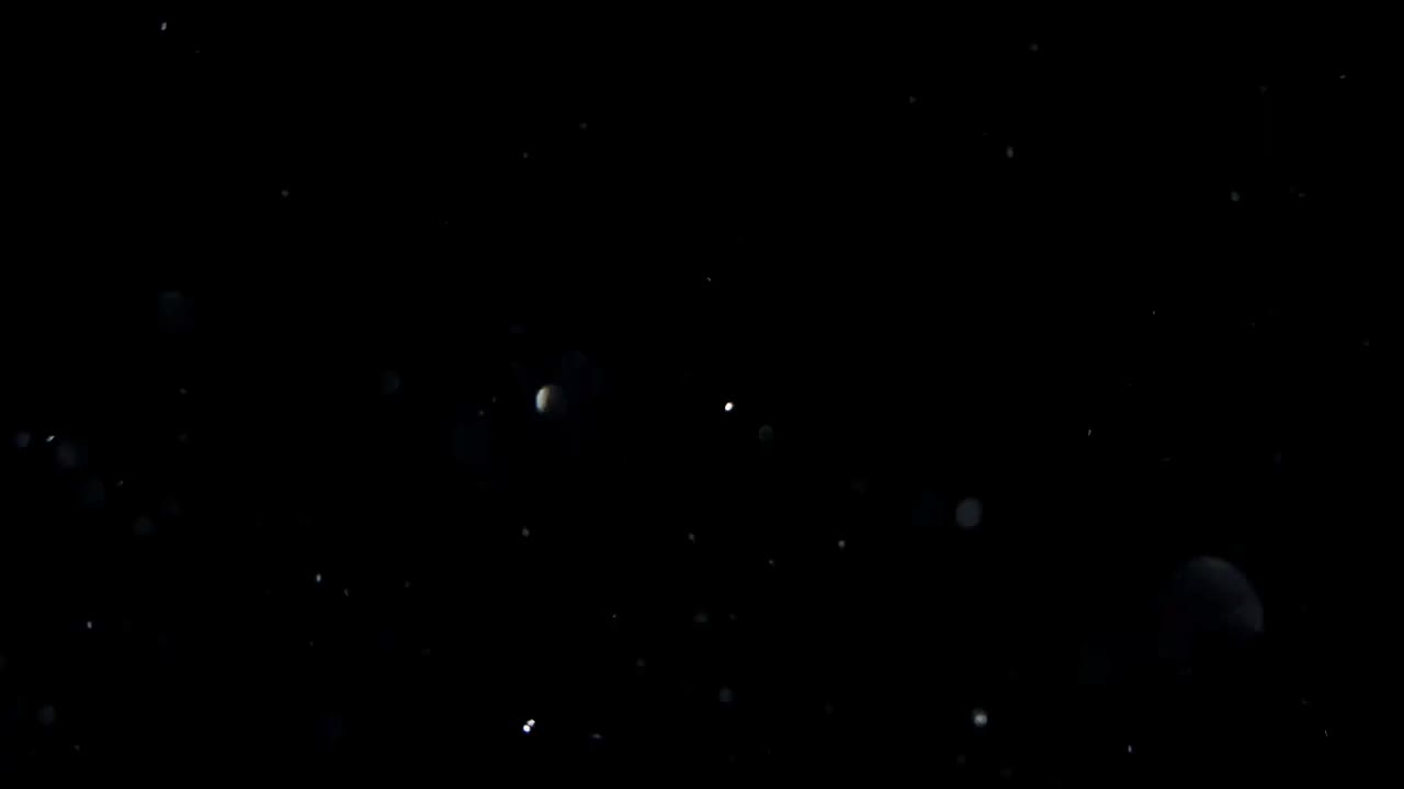 视频素材-10组飞舞悬浮飘动闪烁粒子4K高清视频