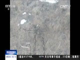 [新闻直播间]5月22日是国际生物多样性日 云南贡山:探秘“世界生物...