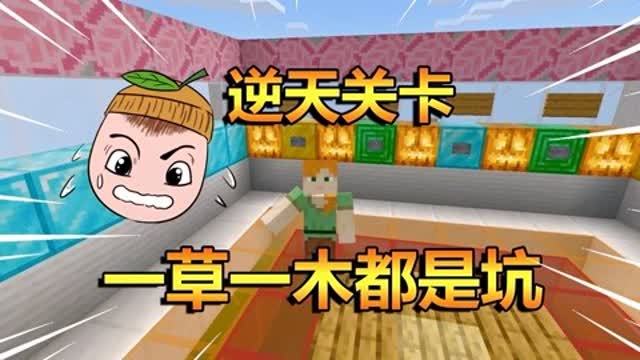 我的世界五毛实验室:这地图太坑了不能碰一草一木?这可咋办?