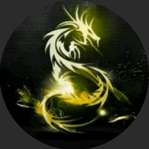 羽毛球运动爱好者 