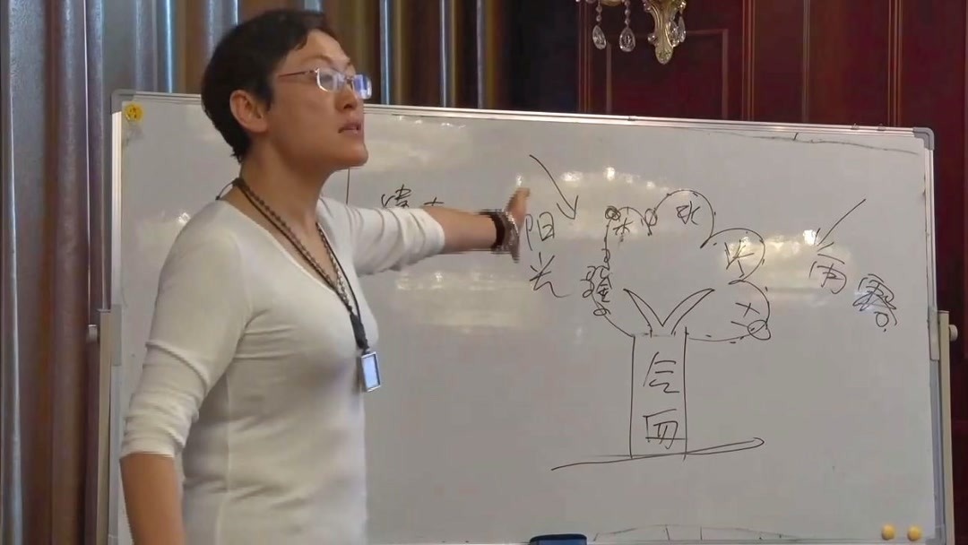 舒卿学习视频