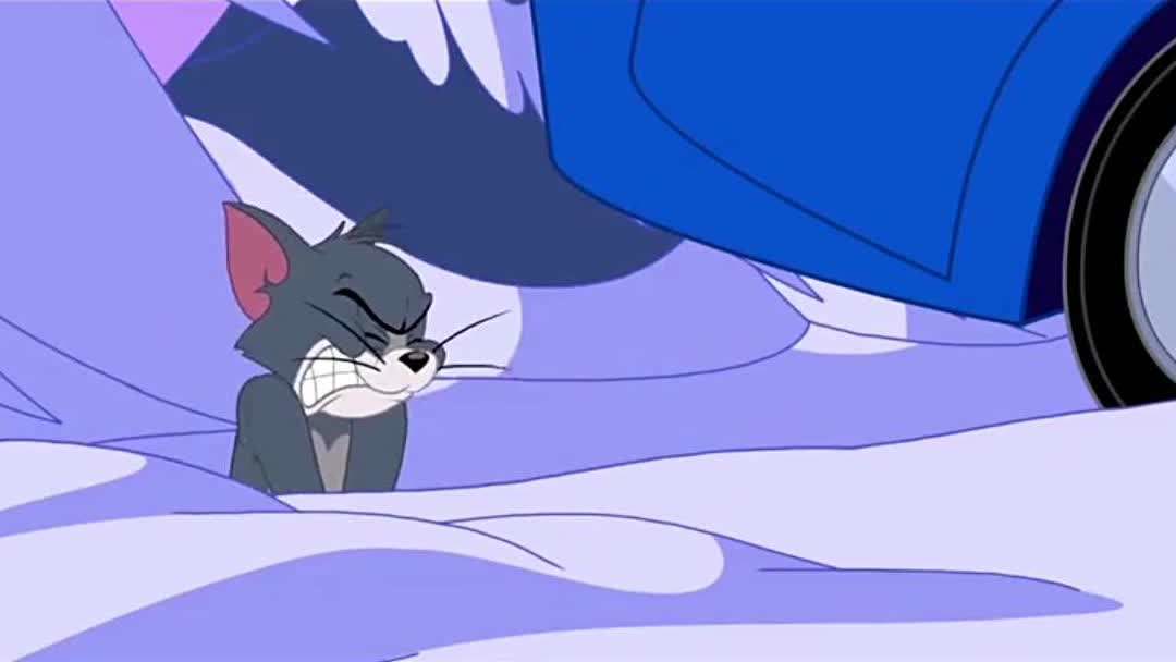 动画片猫和老鼠,汤姆的大冒险