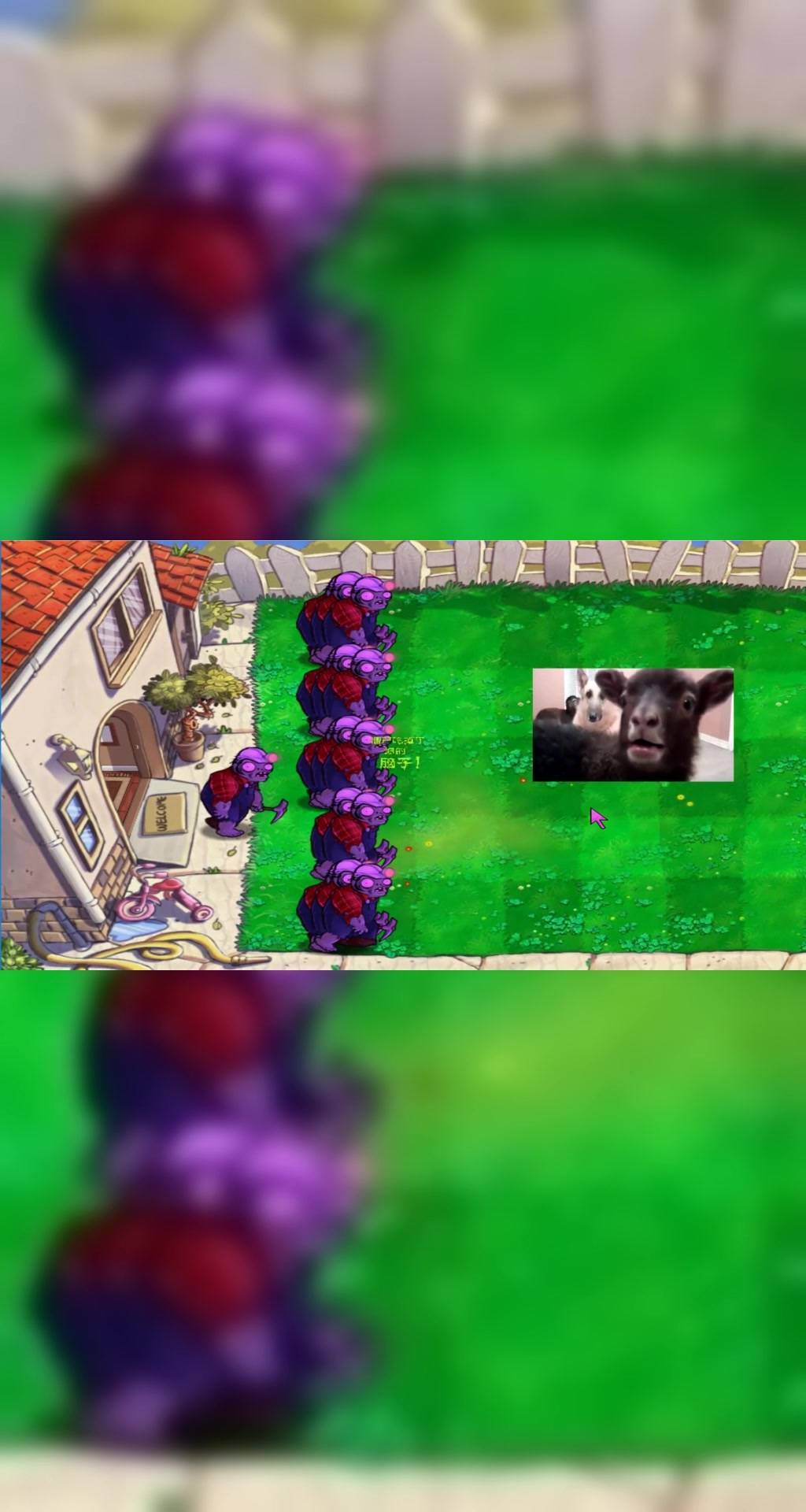 植物大战僵尸,魔鬼实验室,如何把进屋的僵尸弄回来?