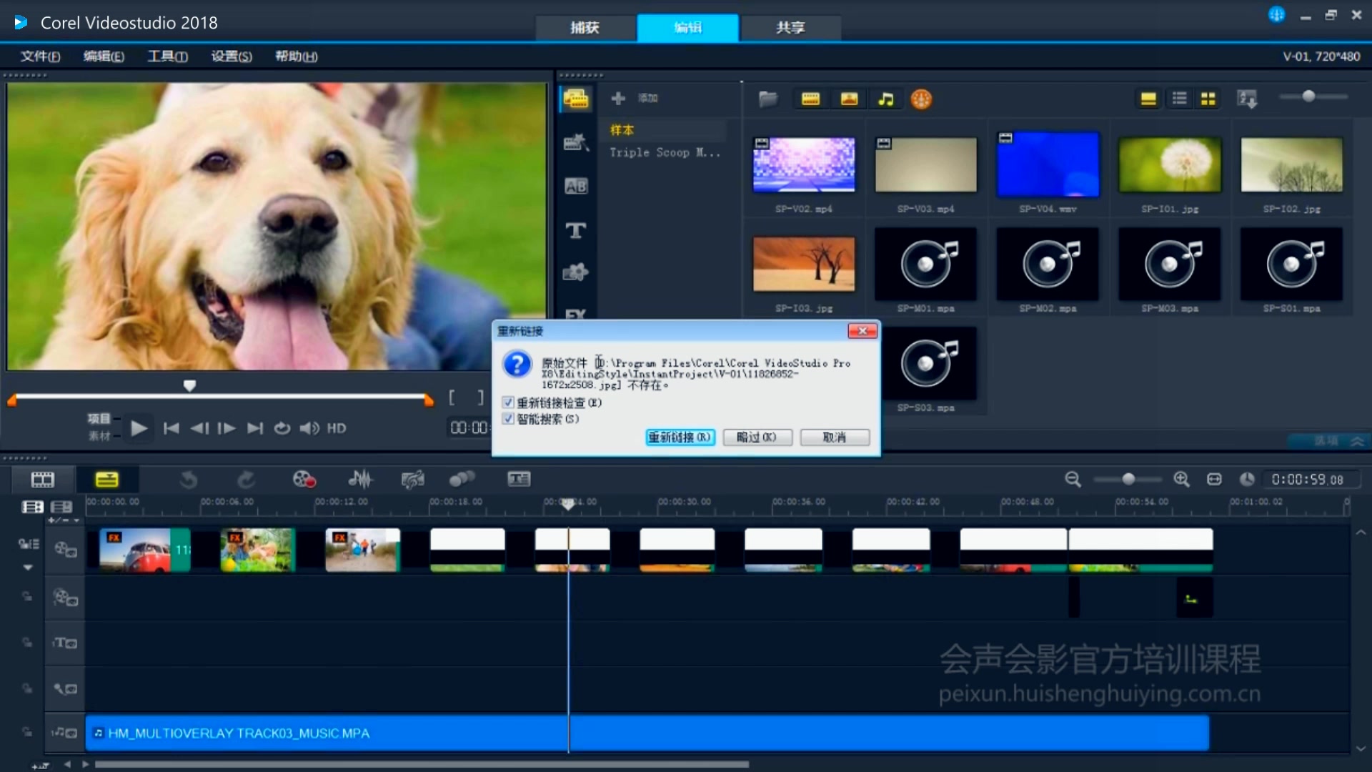 新手剪辑必备—会声会影软件零基础使用教程:模板的使用