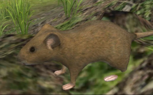 [飞乐蓝]老鼠模拟器 我是一只不灵敏的老鼠