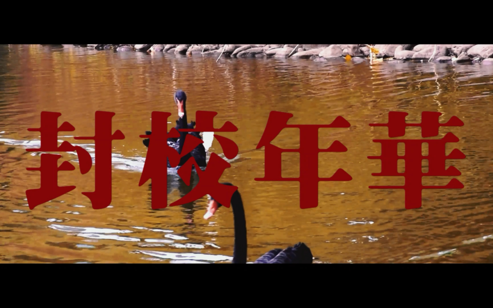 封校年华(复旦大学学生制作)