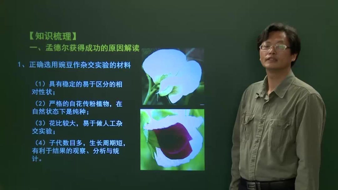 基因的分离定律1 黄新 2014高考生物总复习