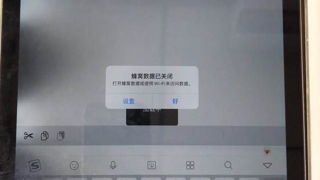 iPad Air 2显示背光灯问题维修