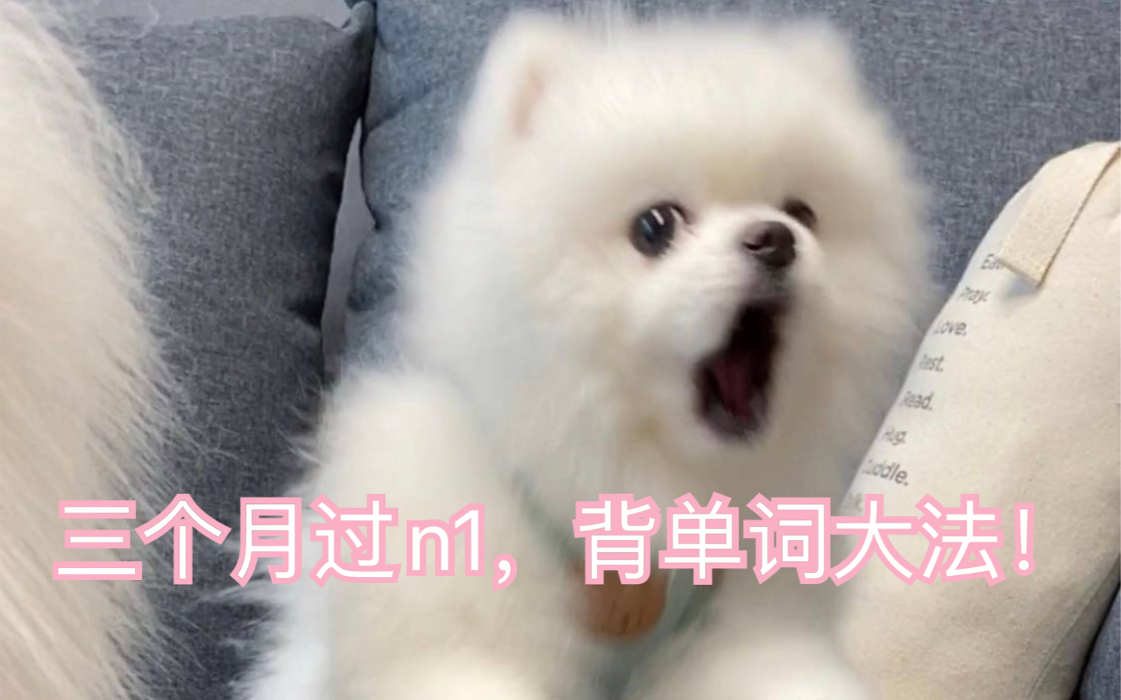 3个月从n2没过到n1的120,背单词神器艾宾浩斯记忆曲线手把手教学