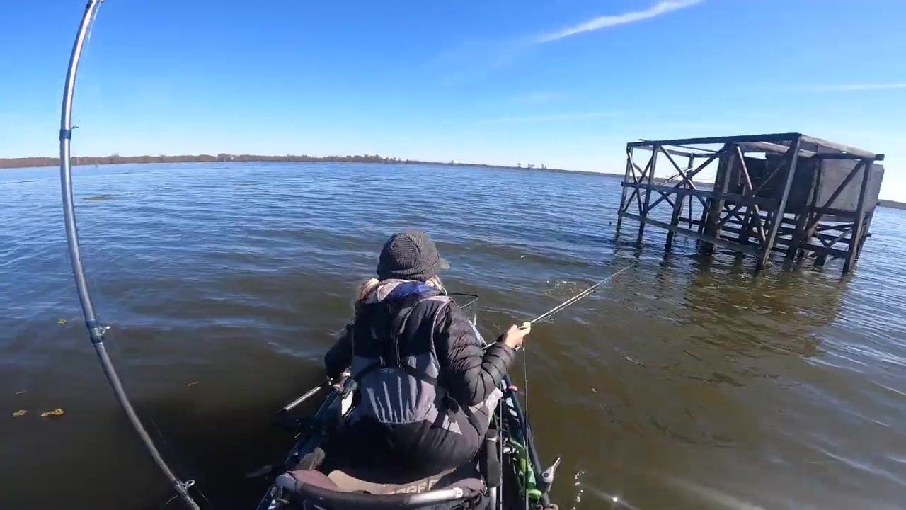 FINAL day of the Tournament of Champions (CADDO LAKE)