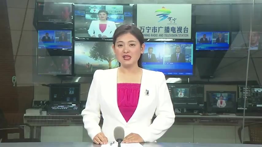 鼓舞人心,催人奋进,市人大代表热议报告提建议