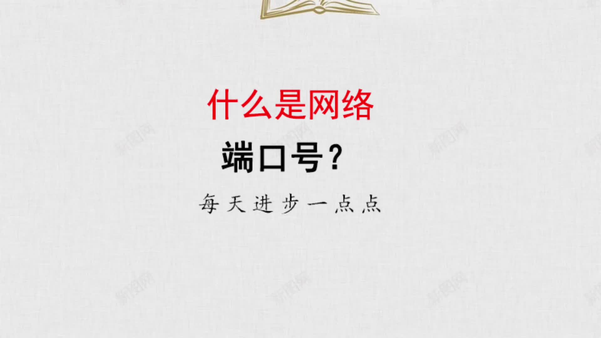 什么是网络端口号?