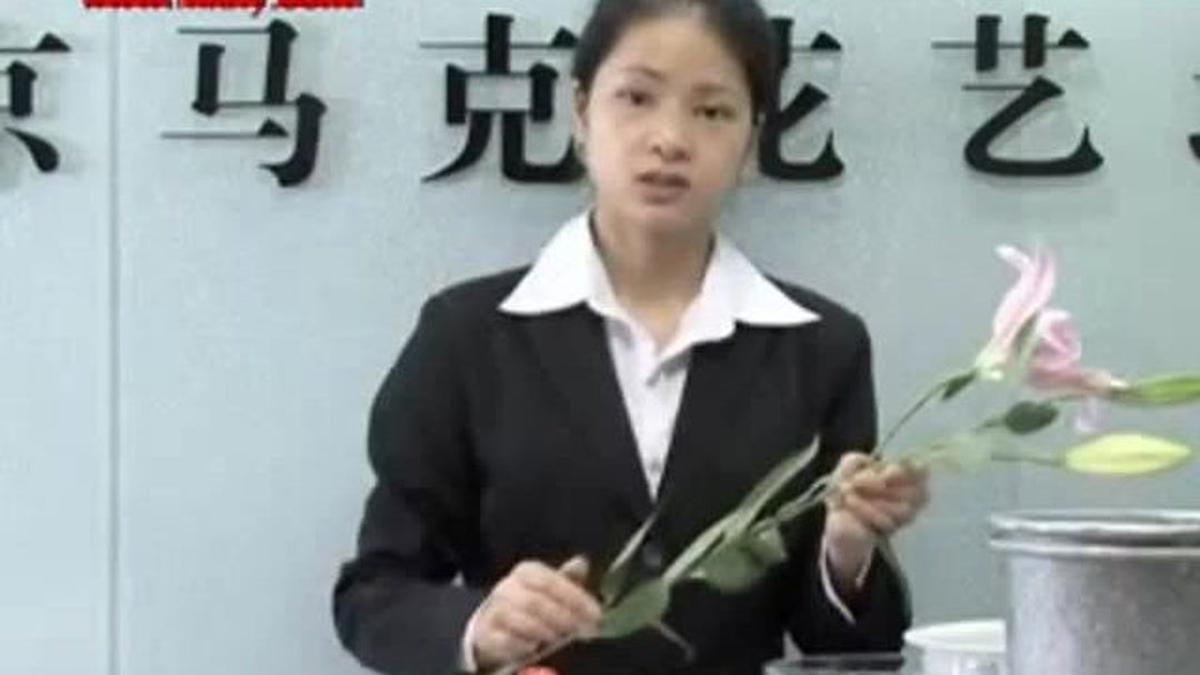 -插花视频教学插花教程图解