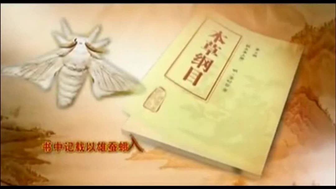 配伍雄引散的雄蚕蛾真的那么神奇吗