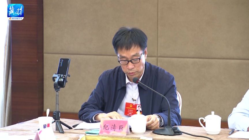 【两会云访】河北代表为乡村振兴建言献策