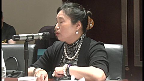 张纵泰视作北京临海商会袁雪芬在商会座谈会上的发言2017.5.22