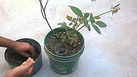 实用帖!将厨余垃圾变成有机肥料,这么好的方法还不快来认领!