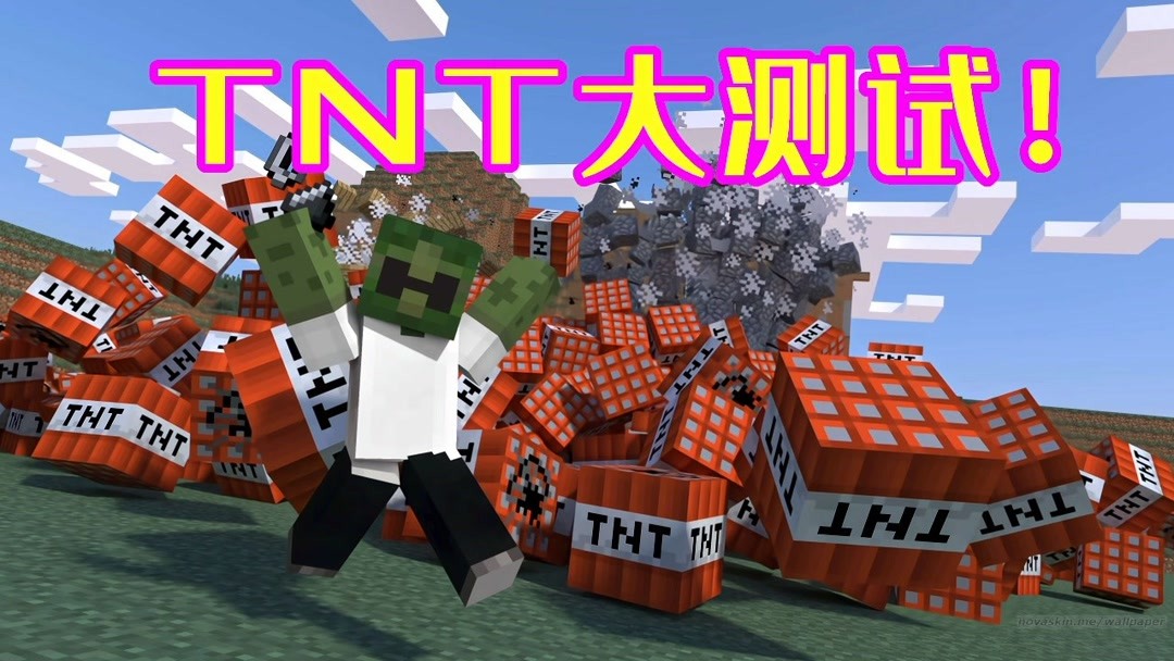 【MC大白】我是一只小僵尸13.番外,TNT套餐大白的电脑受得了么?