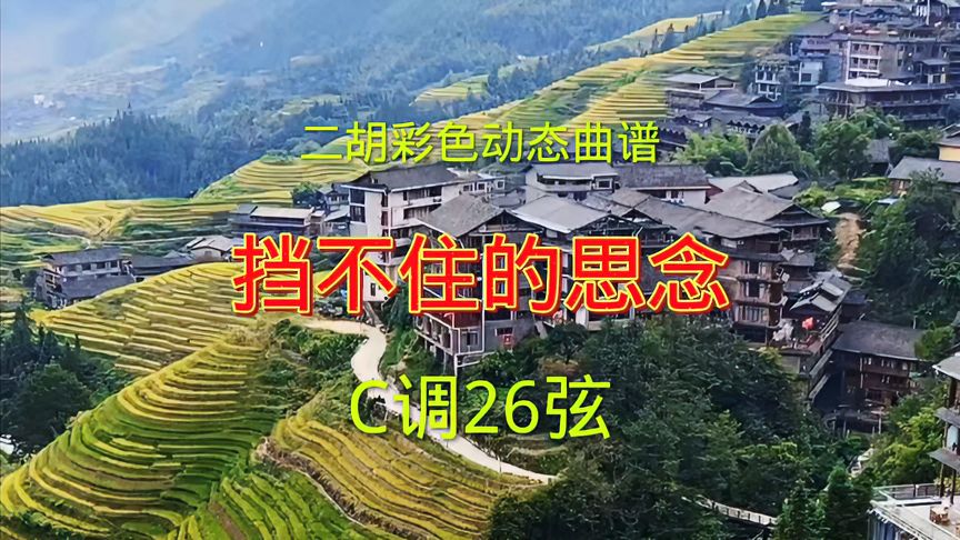 《挡不住的思念》二胡独奏动态曲谱