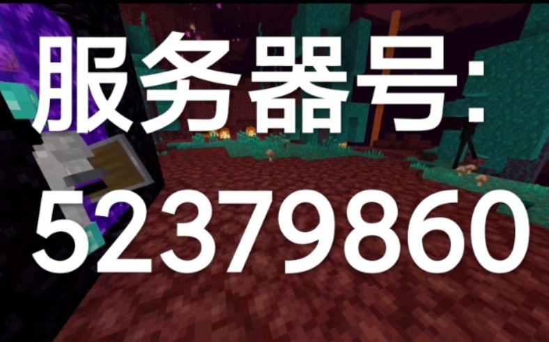 【租赁服】《我的世界》网易我的世界生存服务器来人了